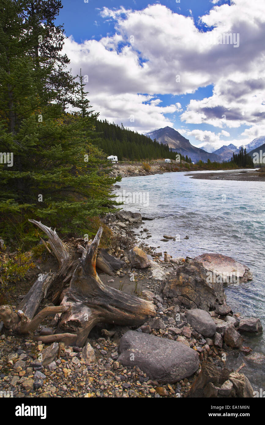 Green shallow water natural scene hi-res stock photography and images ...