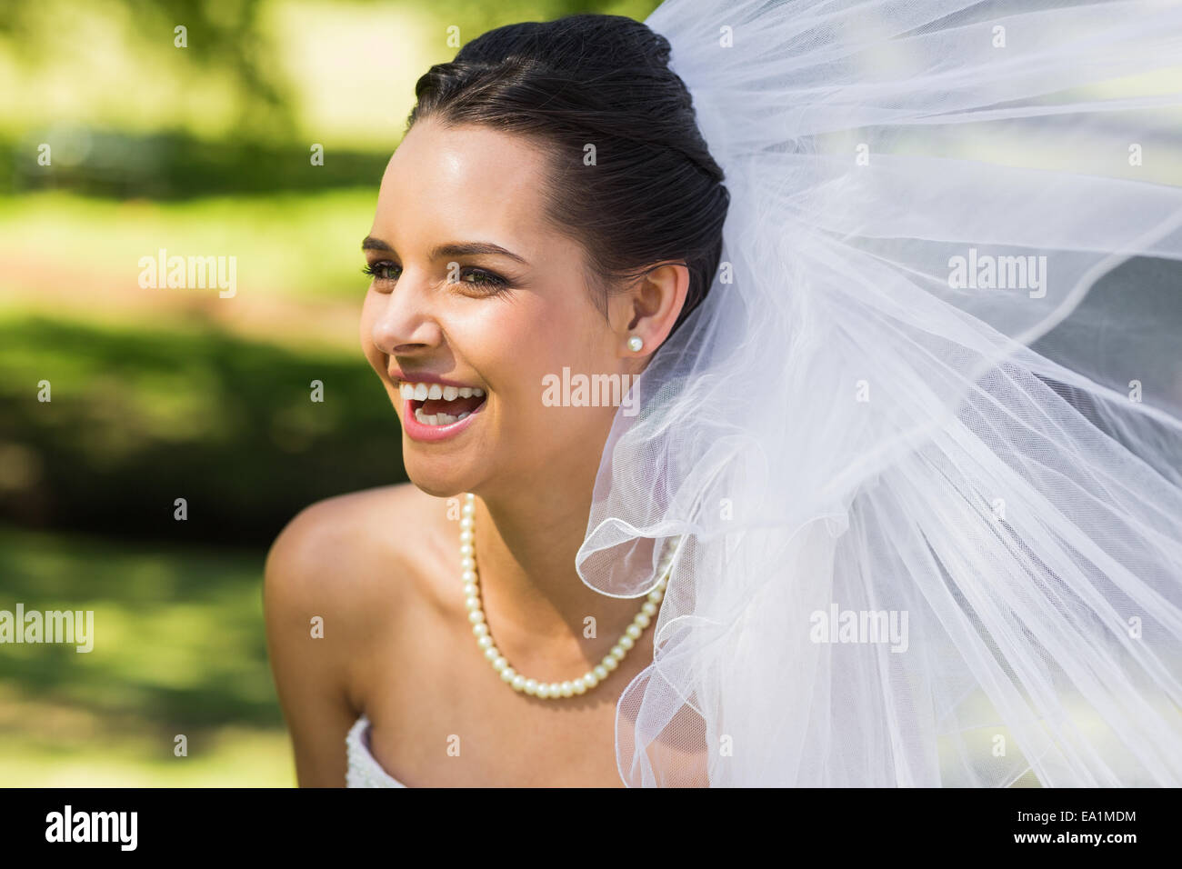 Bride hi-res stock photography and images - Alamy