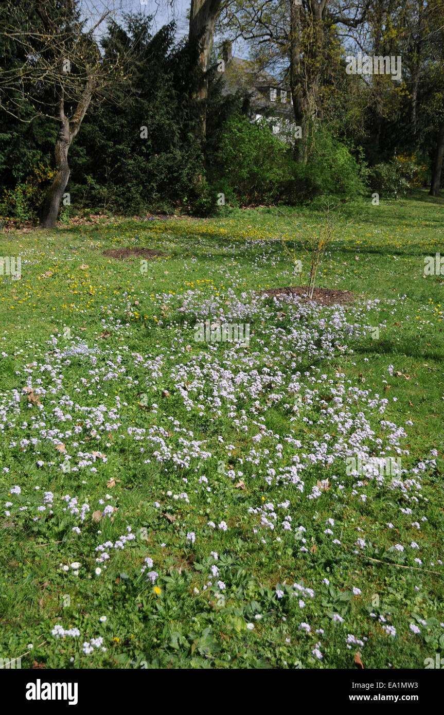 Meadow ladies smock hi-res stock photography and images - Alamy