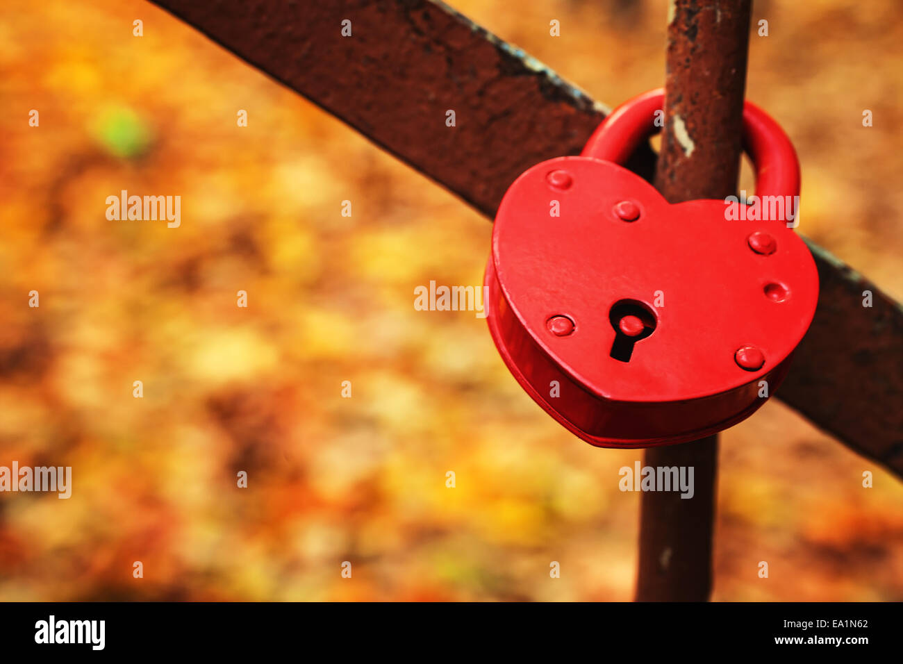 Red heart lock against the background of yellow autumn foliage Stock ...