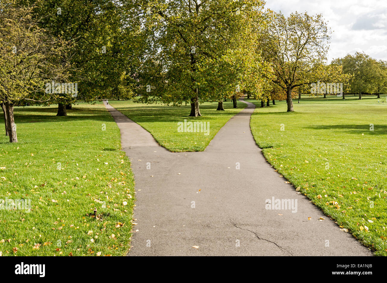 Path splits hi-res stock photography and images - Alamy