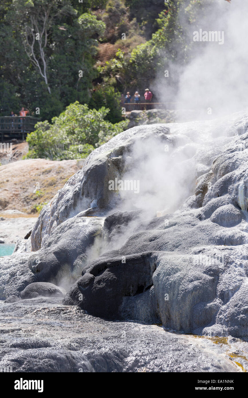 Whakarewarewa thermal geyser area Stock Photo - Alamy