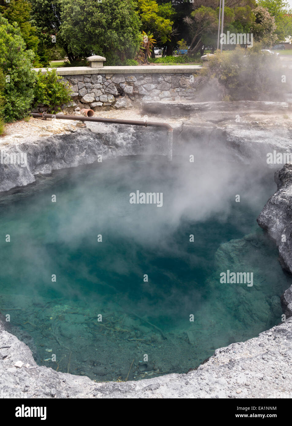 Rotorua hot spring Government Park NZ Stock Photo - Alamy