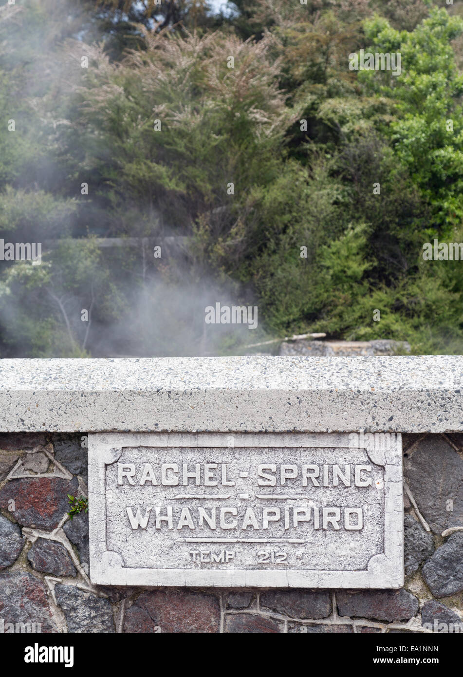 Rachel spring hi-res stock photography and images - Alamy