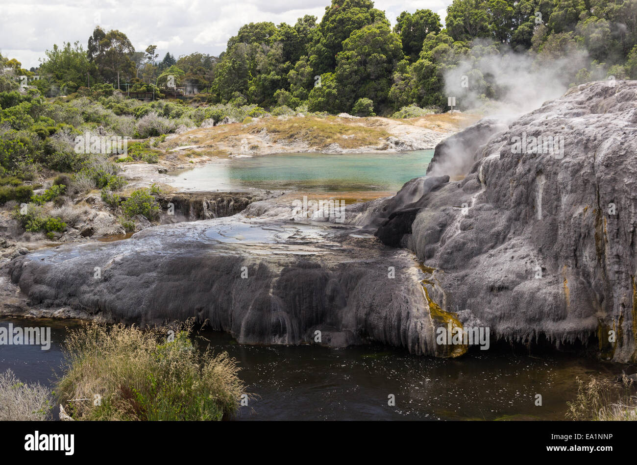 Whakarewarewa geothermal area hi-res stock photography and images - Alamy