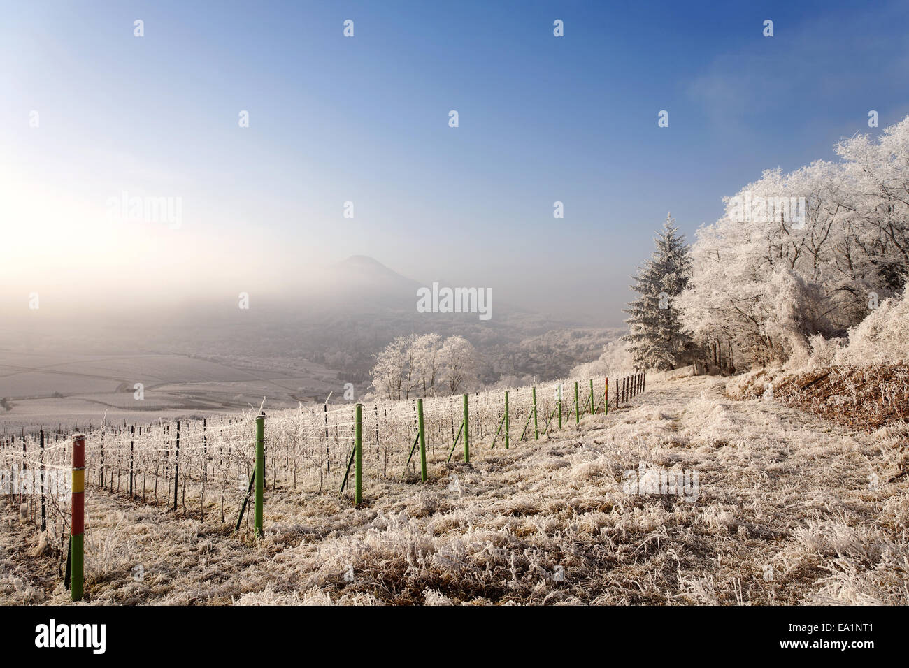 Raur hi-res stock photography and images - Alamy