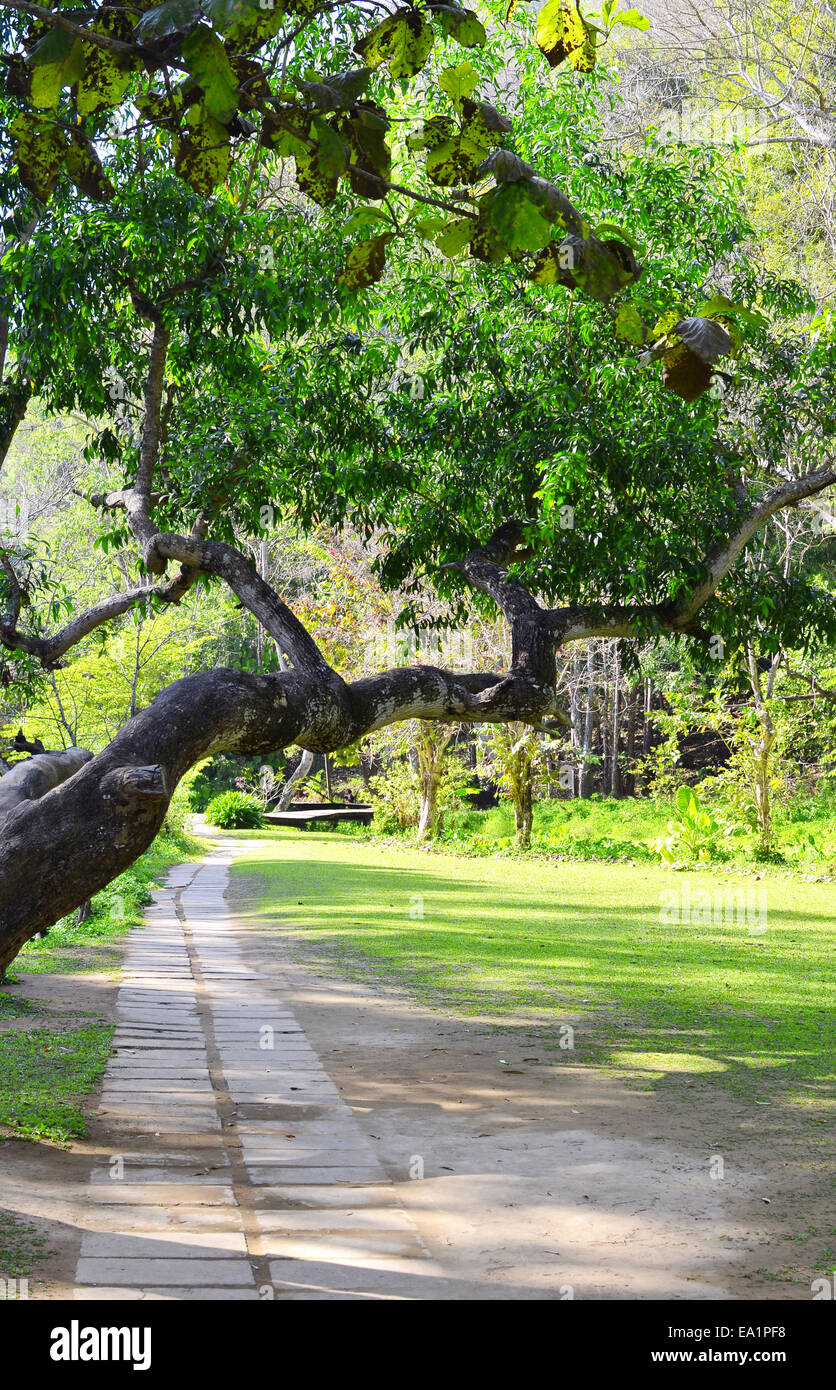 Botanical garden of turin hi-res stock photography and images - Alamy