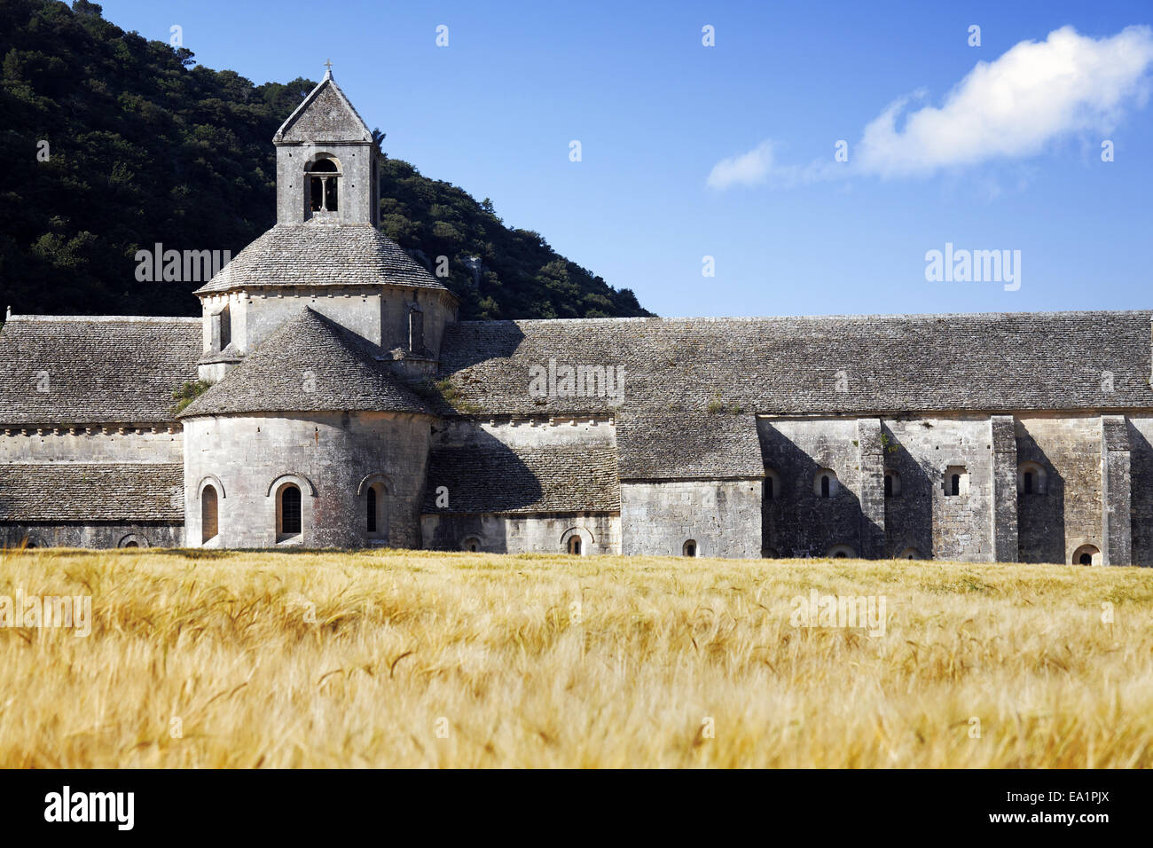 Abbey senanque abtei senanque hi-res stock photography and images - Alamy