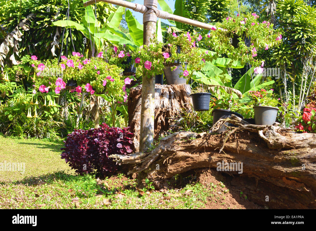 Yellow tube flowers hi-res stock photography and images - Alamy