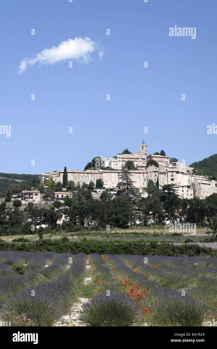 Simiane hi-res stock photography and images - Alamy