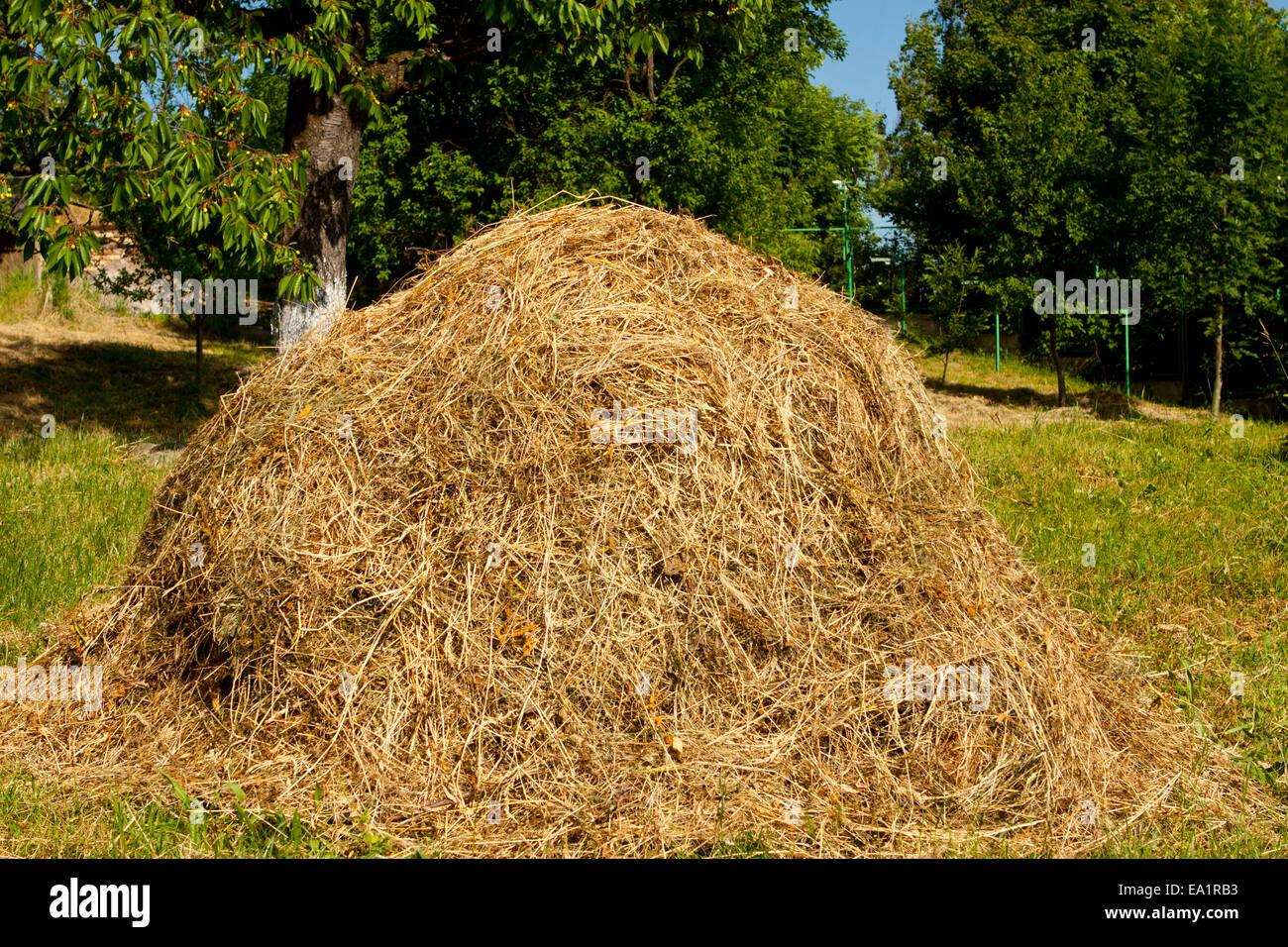 hay with the blue cloudy sky Stock Photo - Alamy