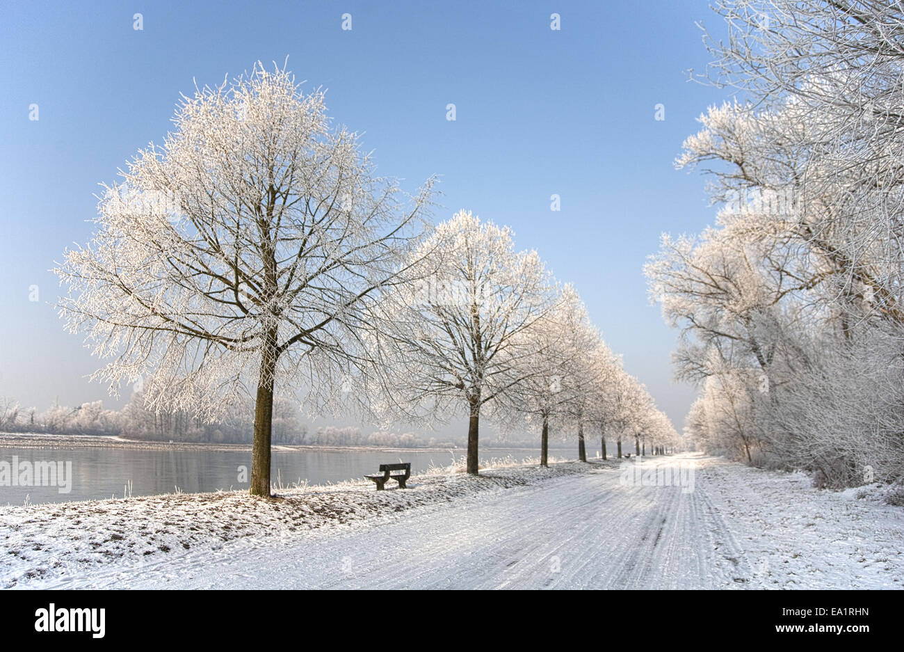 Winter at the Rhine Stock Photo - Alamy