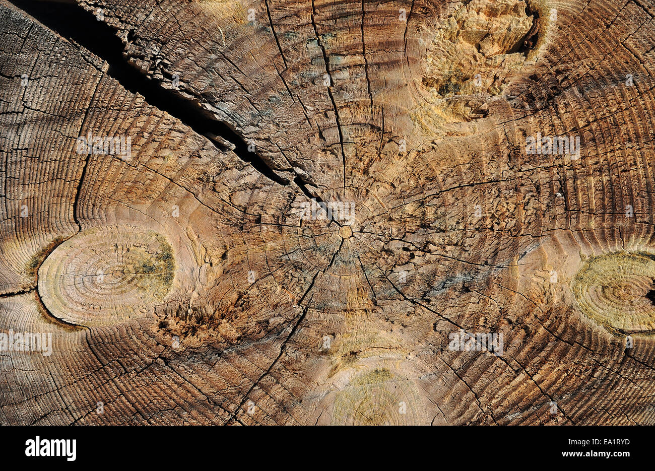 Flat cut timber hi-res stock photography and images - Alamy