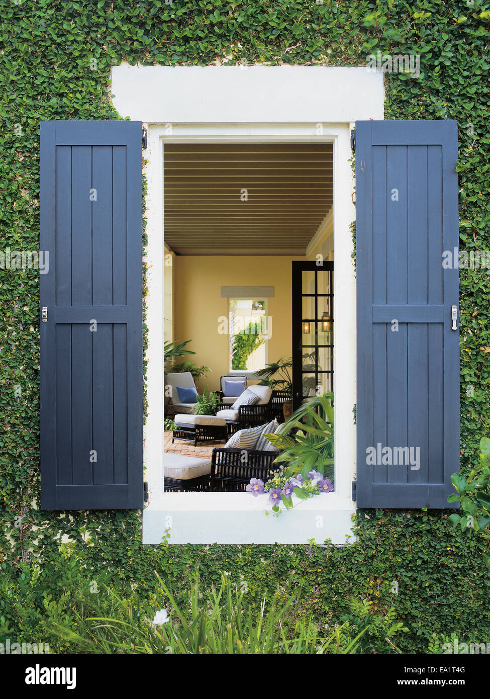 Garden through window hi-res stock photography and images - Alamy