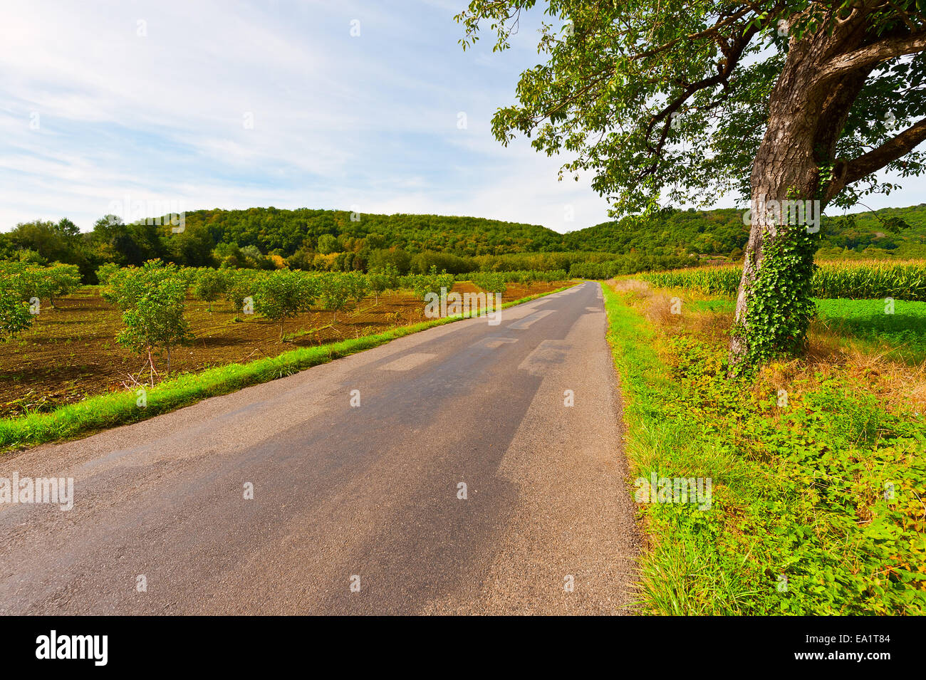 French orchard hi-res stock photography and images - Alamy