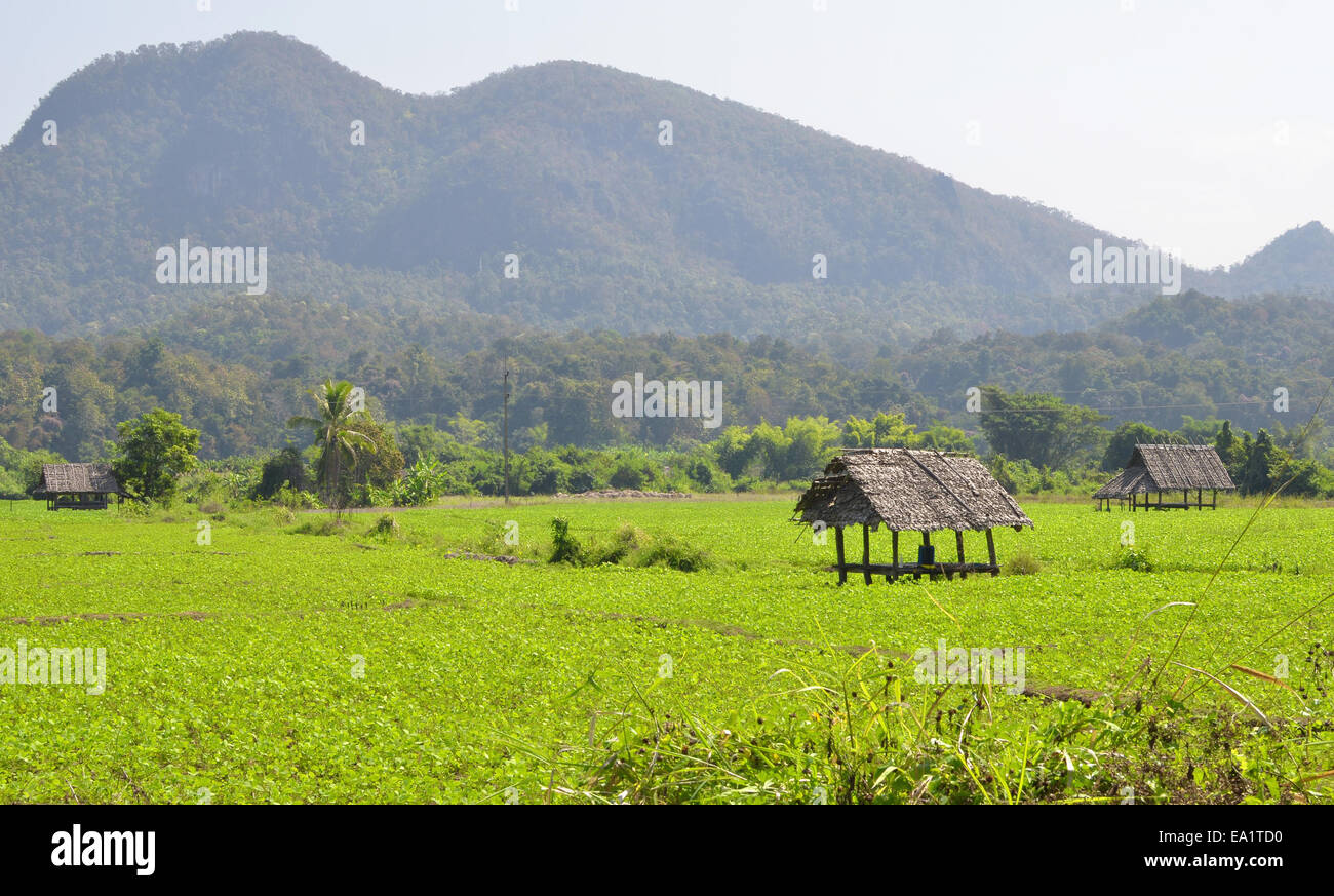 Village fa hi-res stock photography and images - Alamy