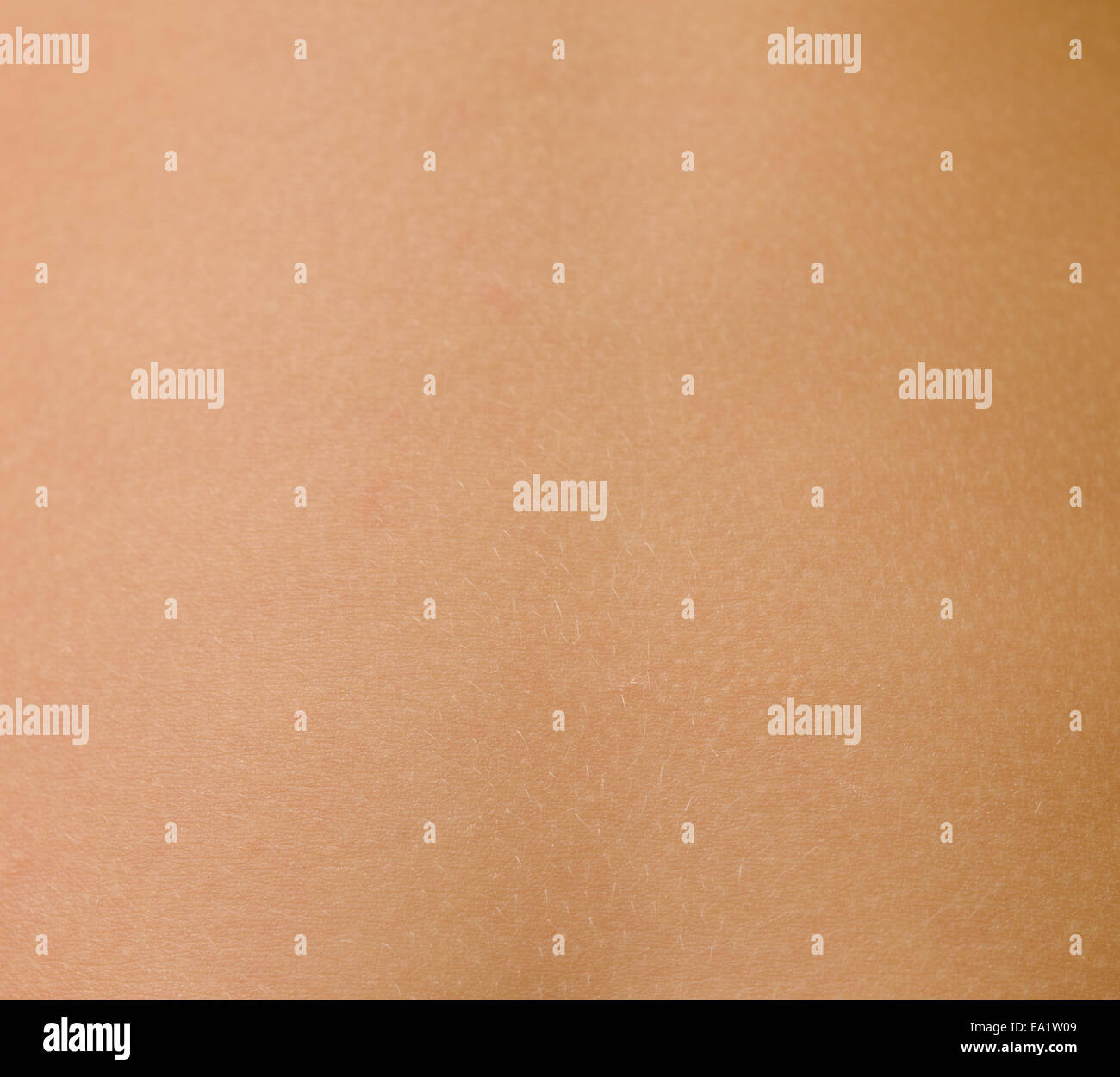 Human skin texture hi-res stock photography and images - Alamy