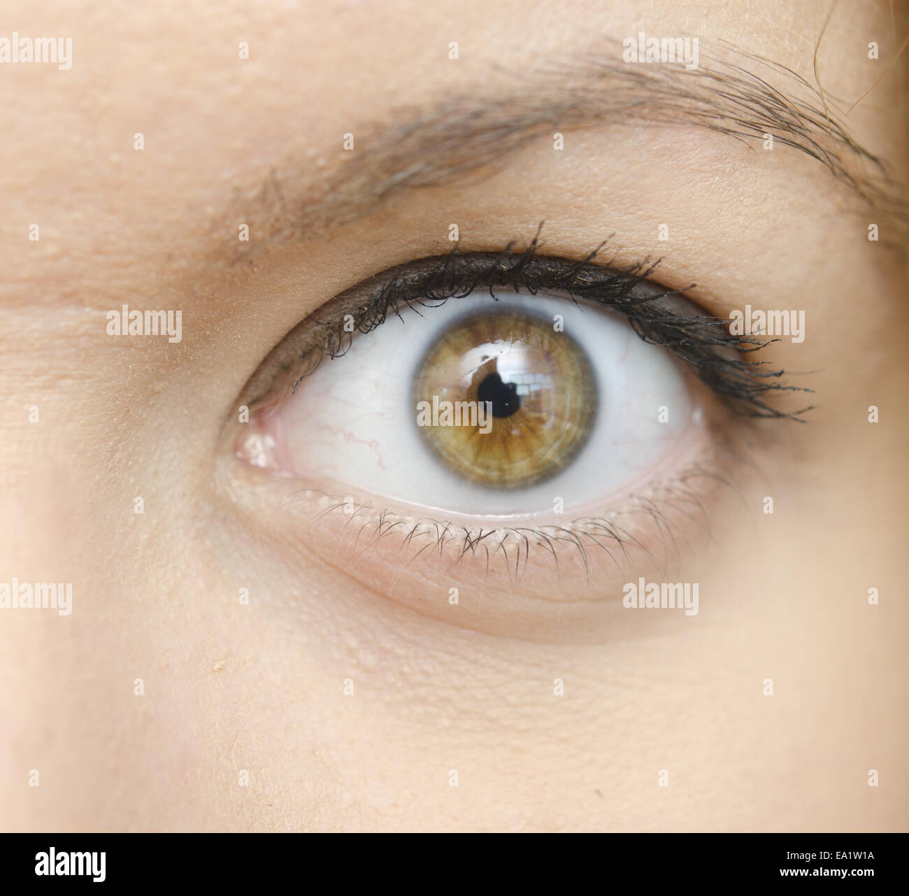 Woman staring gazing hi-res stock photography and images - Alamy