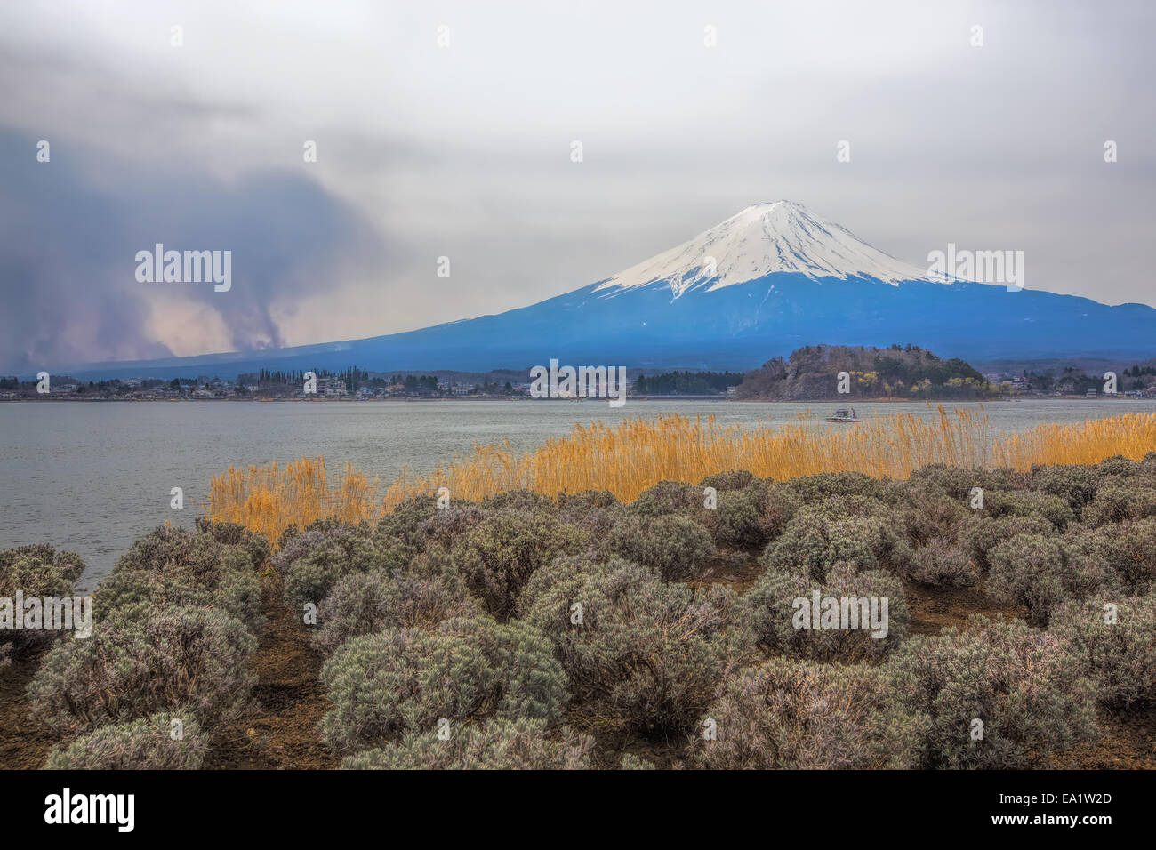 Golden fuji hi-res stock photography and images - Alamy
