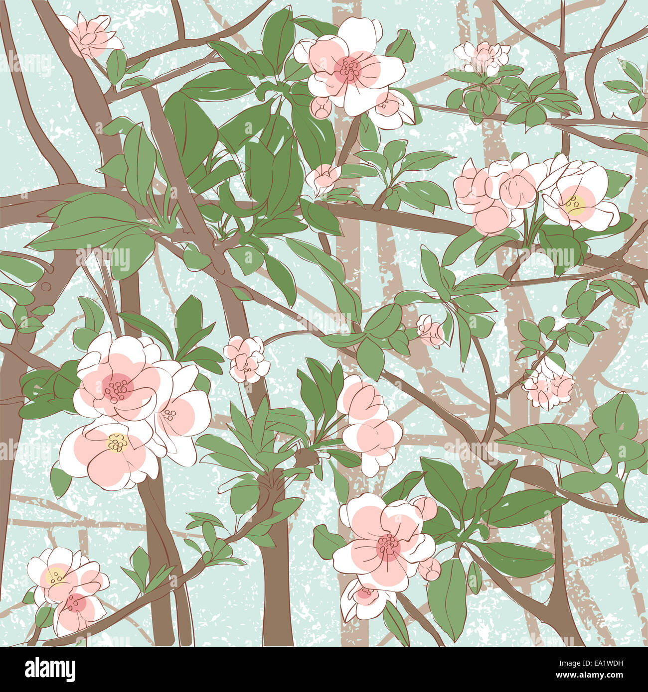 apple flowers background Stock Photo - Alamy