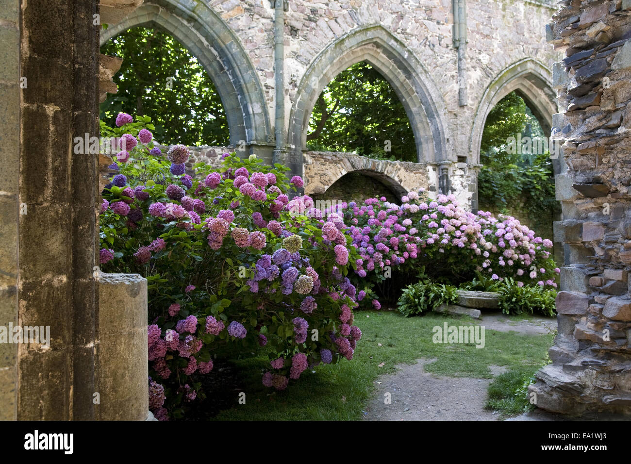 Beauport abbey hi-res stock photography and images - Alamy