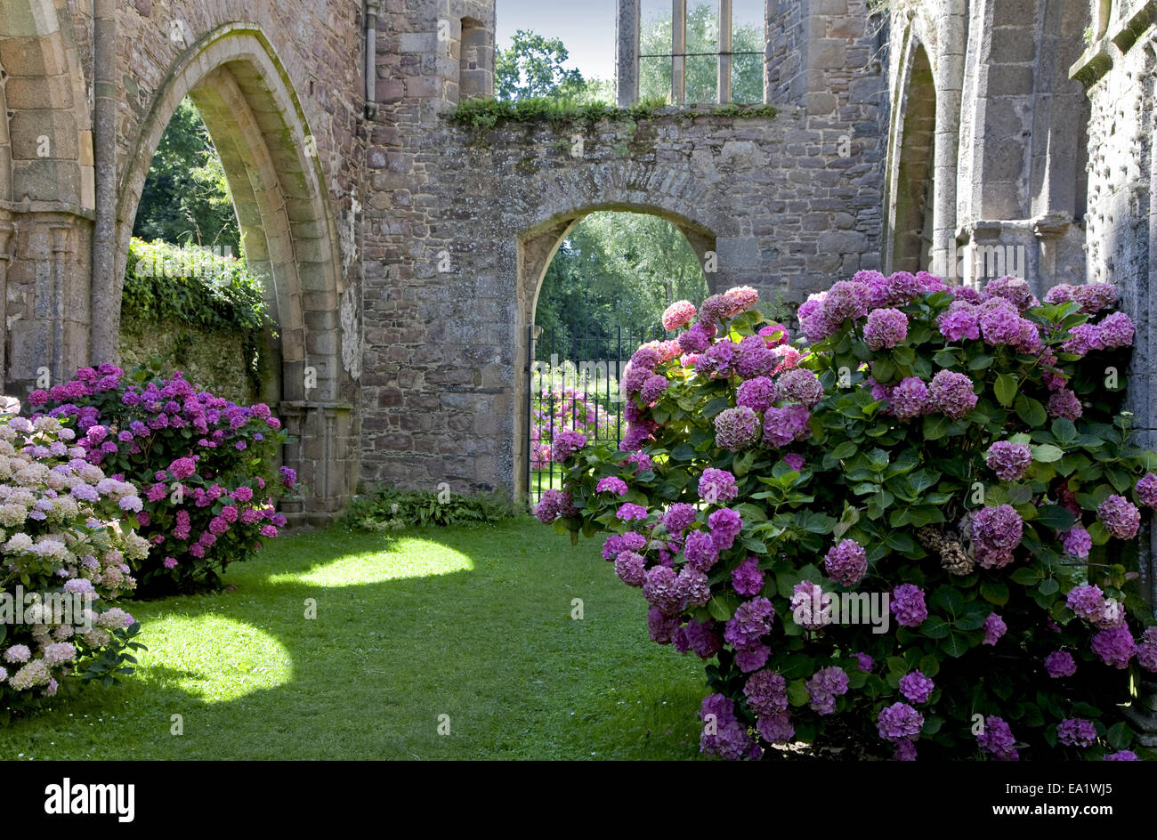 Bretagne abbaye de beauport hi-res stock photography and images - Alamy