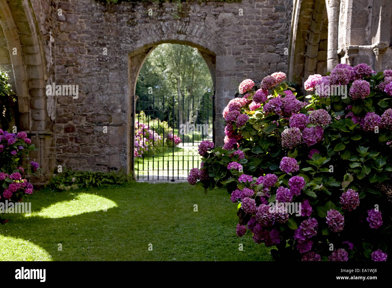 Beauport abbey hi-res stock photography and images - Alamy
