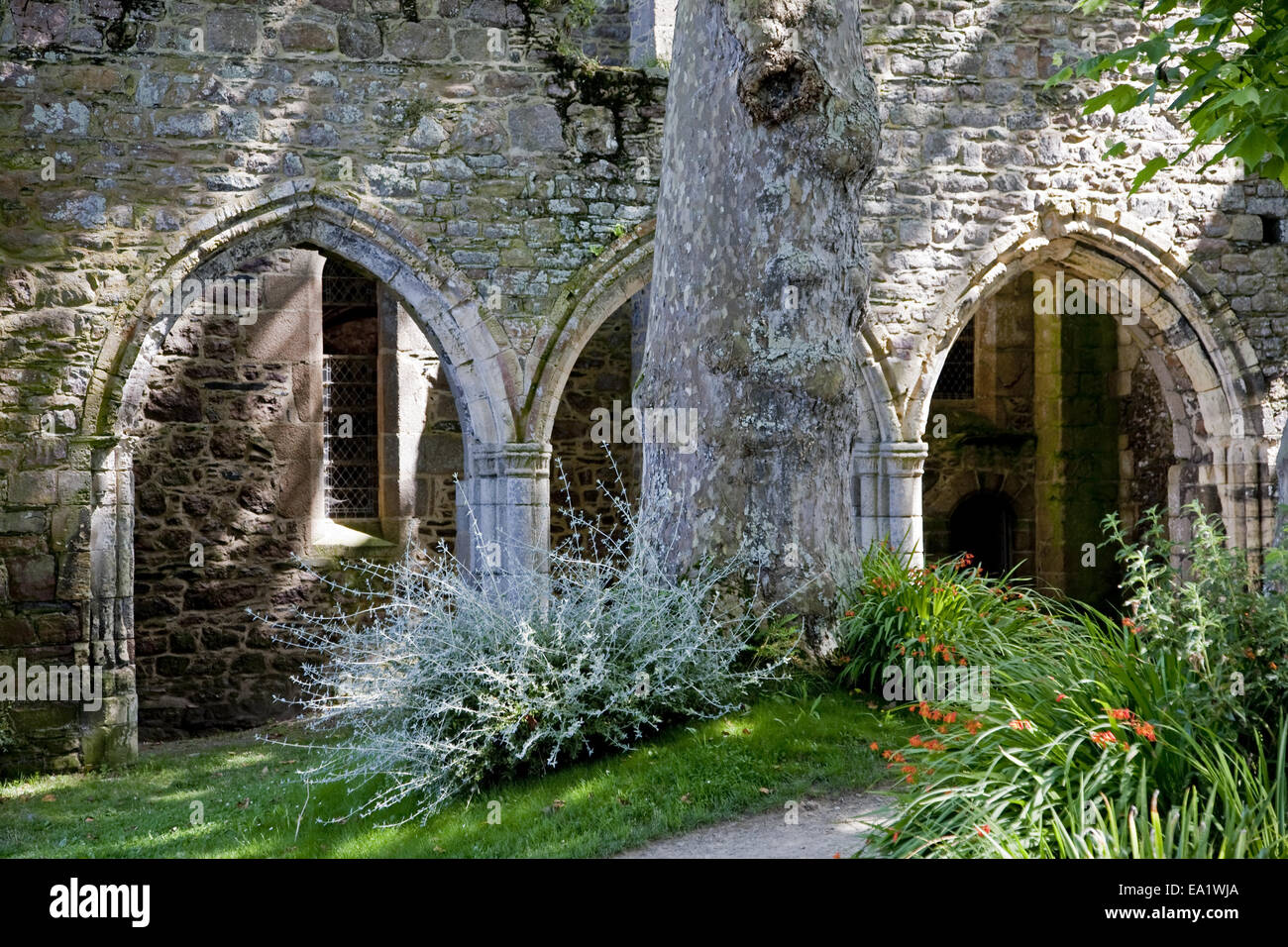 Bretagne abbaye de beauport hi-res stock photography and images - Alamy