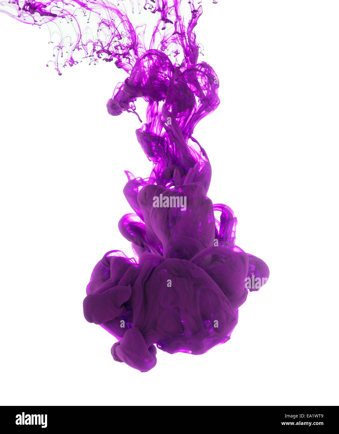Studio shot of purple ink in water, isolated on white background Stock ...