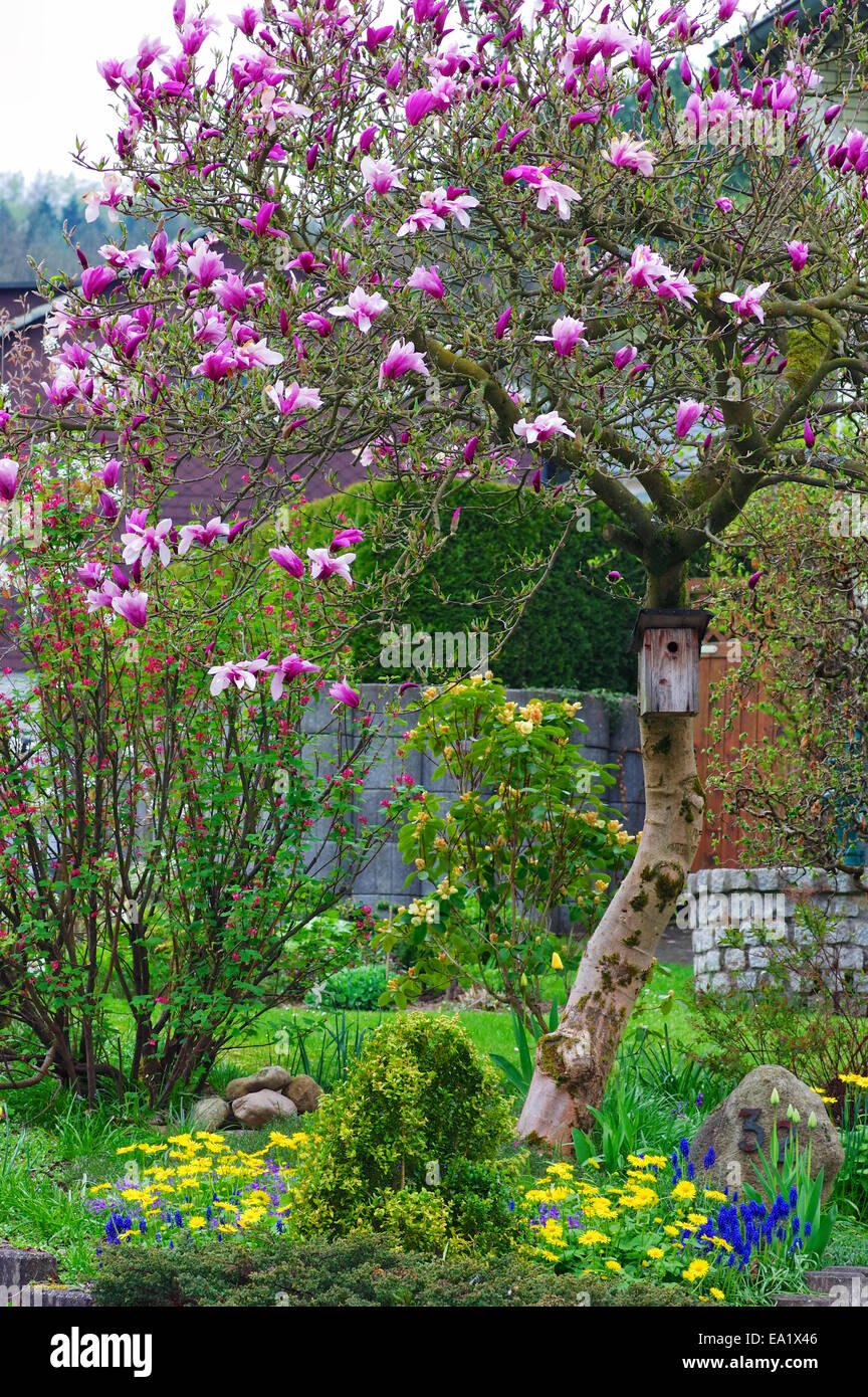 Nature in springtime Stock Photo - Alamy