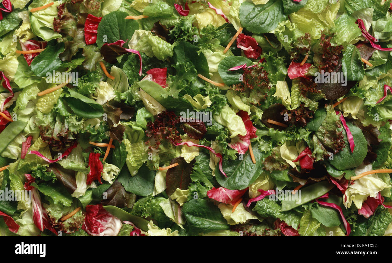 European blend prepackaged salad mix consisting of Romaine, radicchio ...