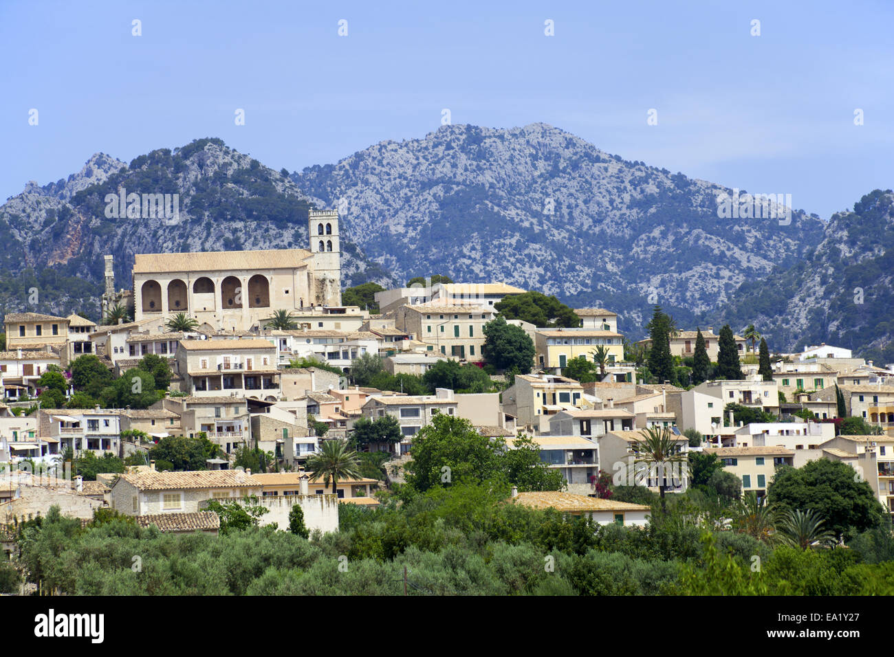 Selva selva hi-res stock photography and images - Alamy