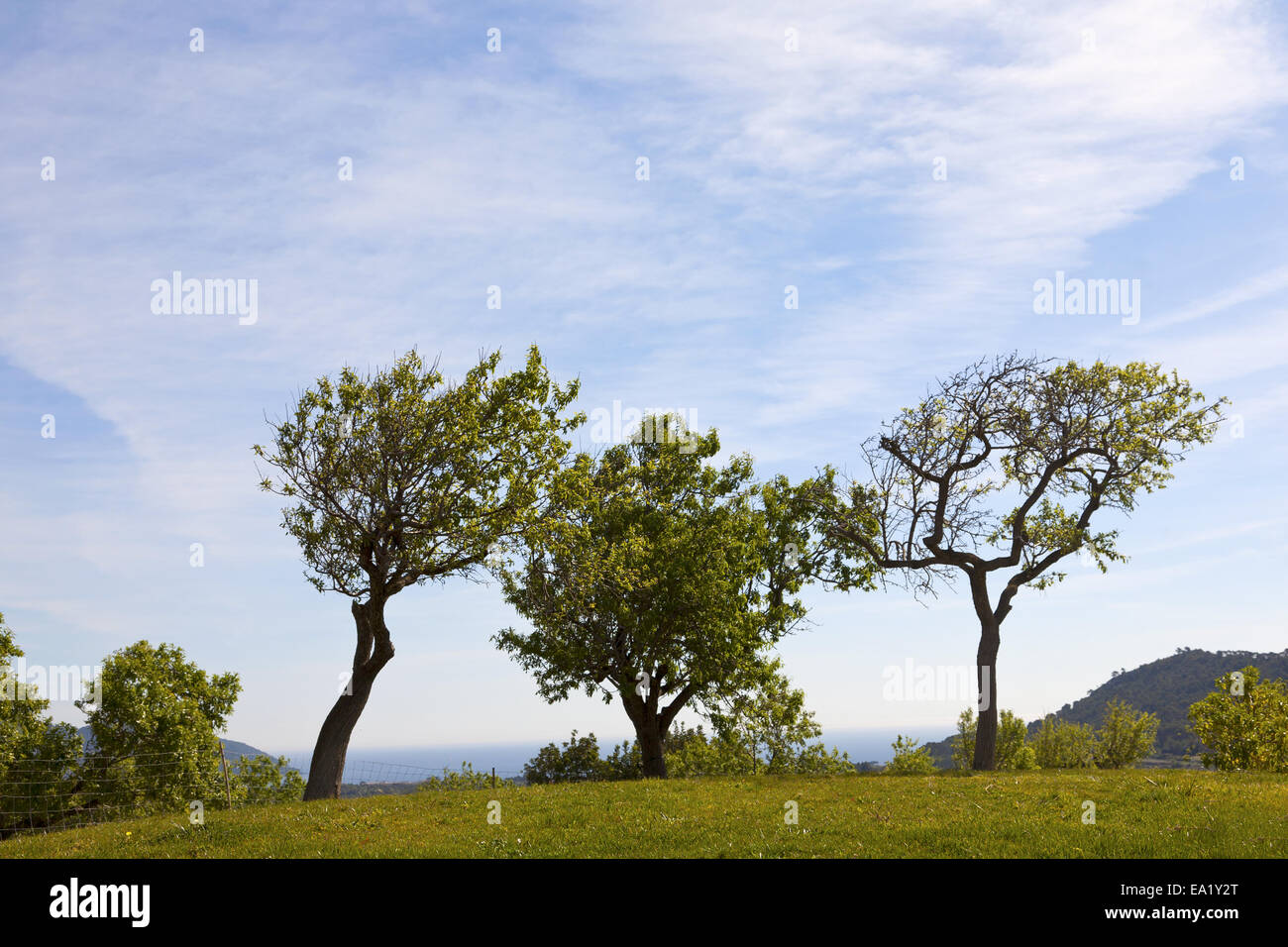 Skew hi-res stock photography and images - Alamy