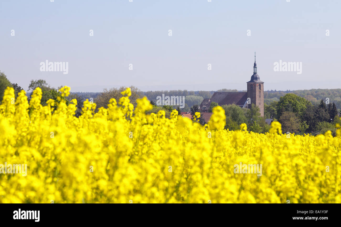 Steinfeld pfalz hi-res stock photography and images - Alamy