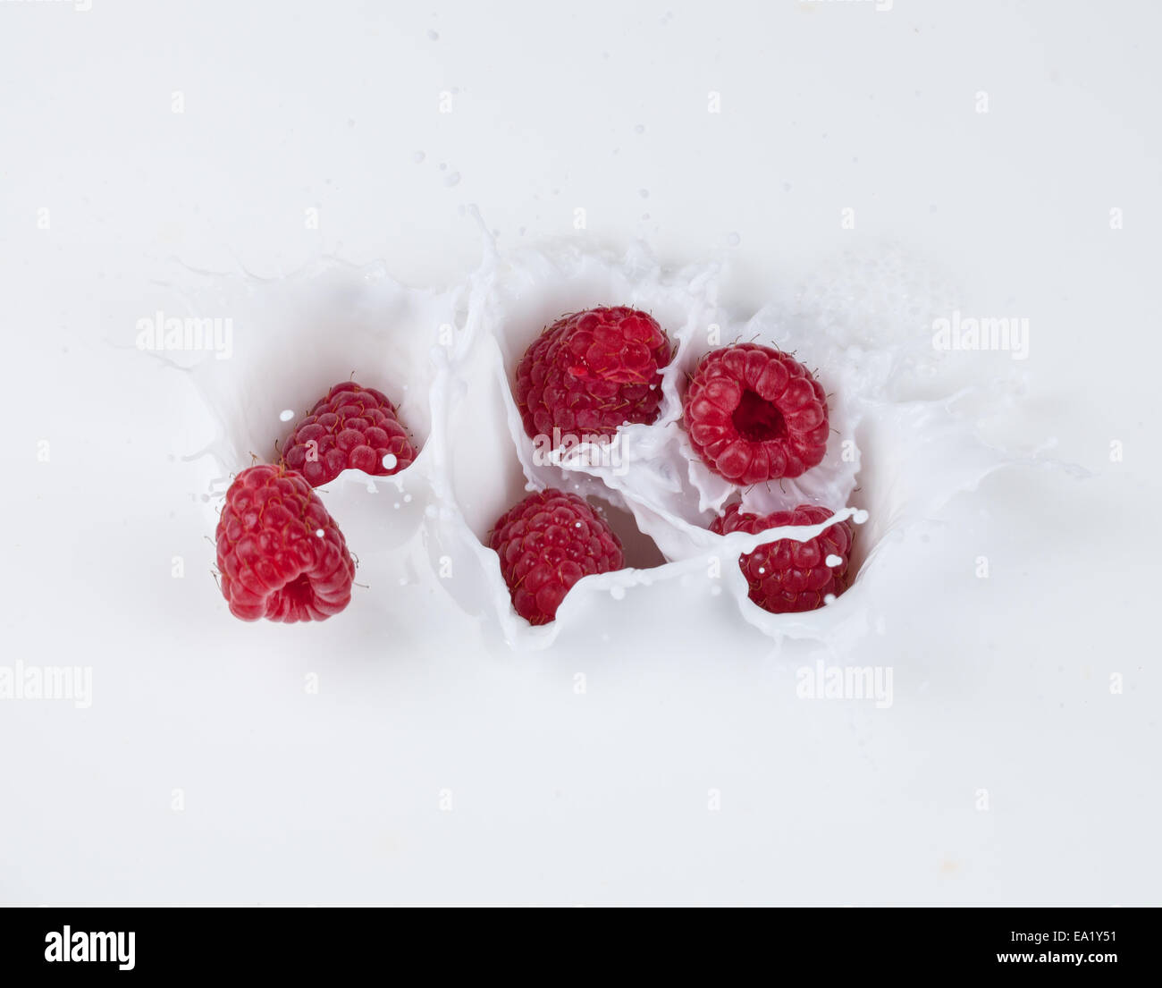 Fresh raspberries falling into milk splashes Stock Photo - Alamy