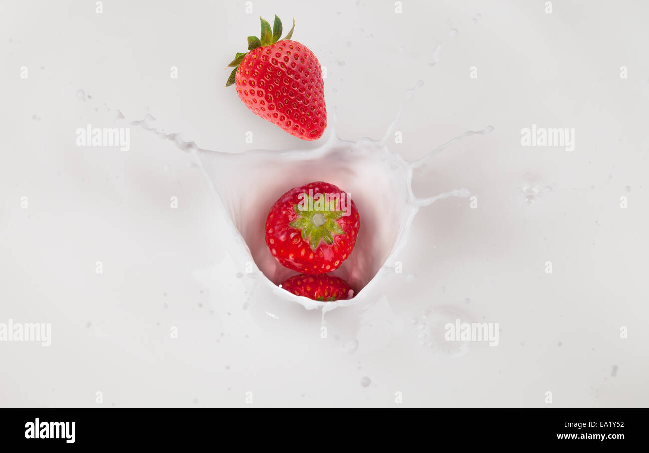 Fresh strawberries falling into milk splashes Stock Photo - Alamy