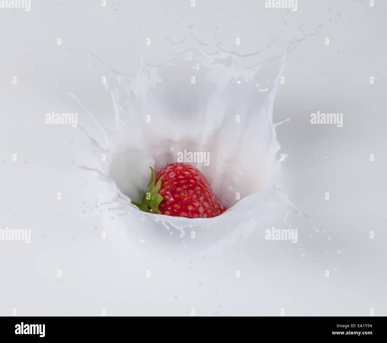 Fresh strawberries falling into milk splashes Stock Photo - Alamy