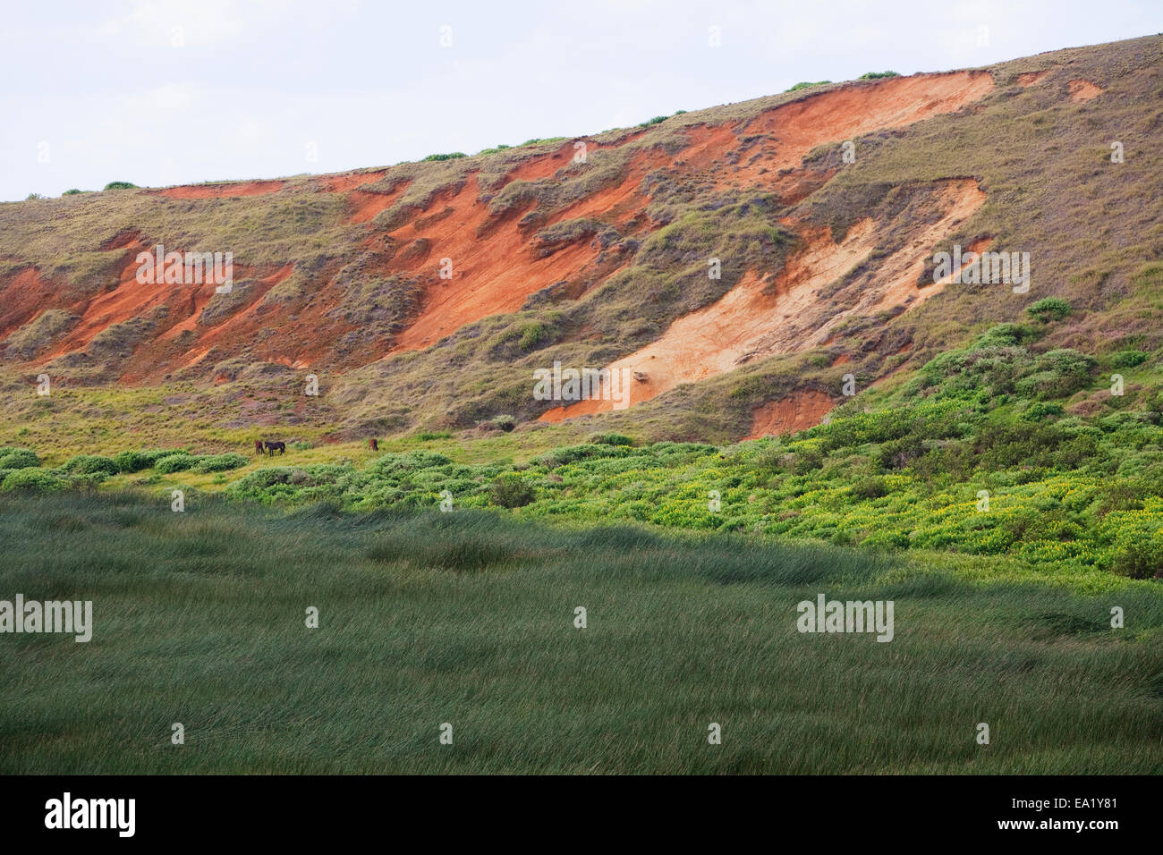 Lagoon Inside The Caldera Of The Rano Raraku Volcano, Rapa Nui (Easter ...