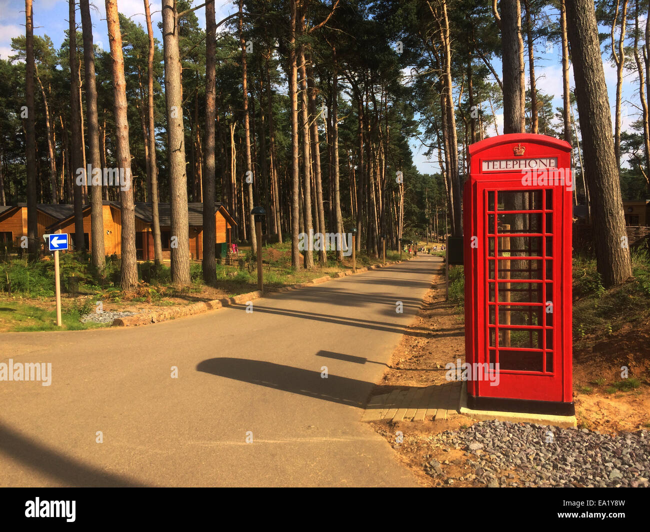 phone box in the woods Stock Photo - Alamy