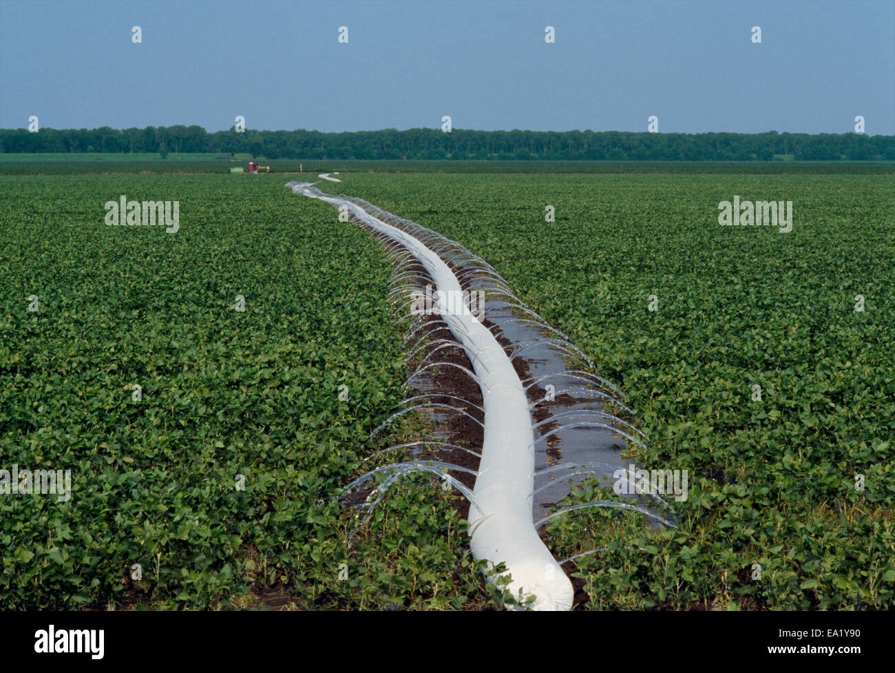 Poly pipe irrigation hi-res stock photography and images - Alamy