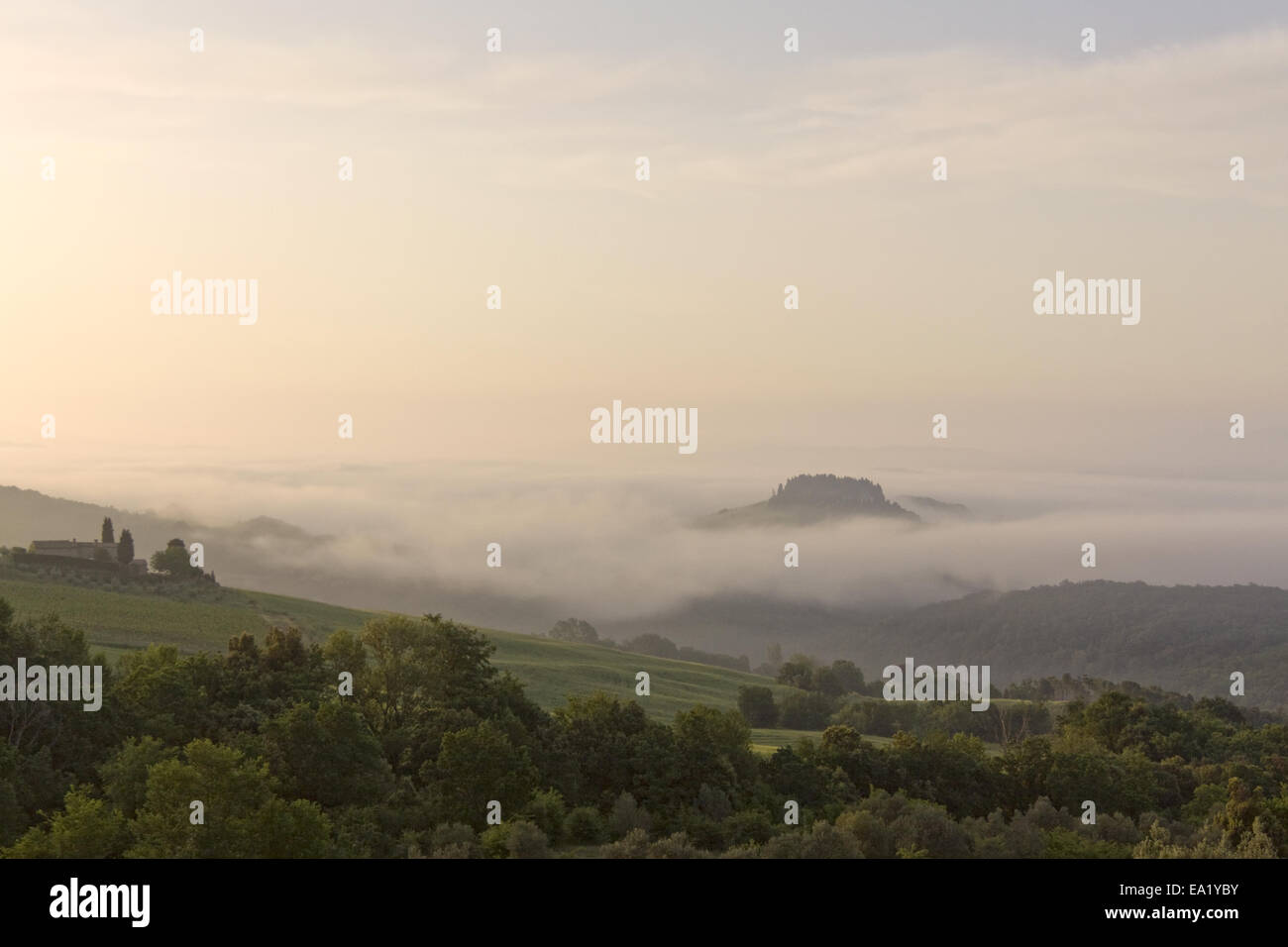 early fog Stock Photo - Alamy