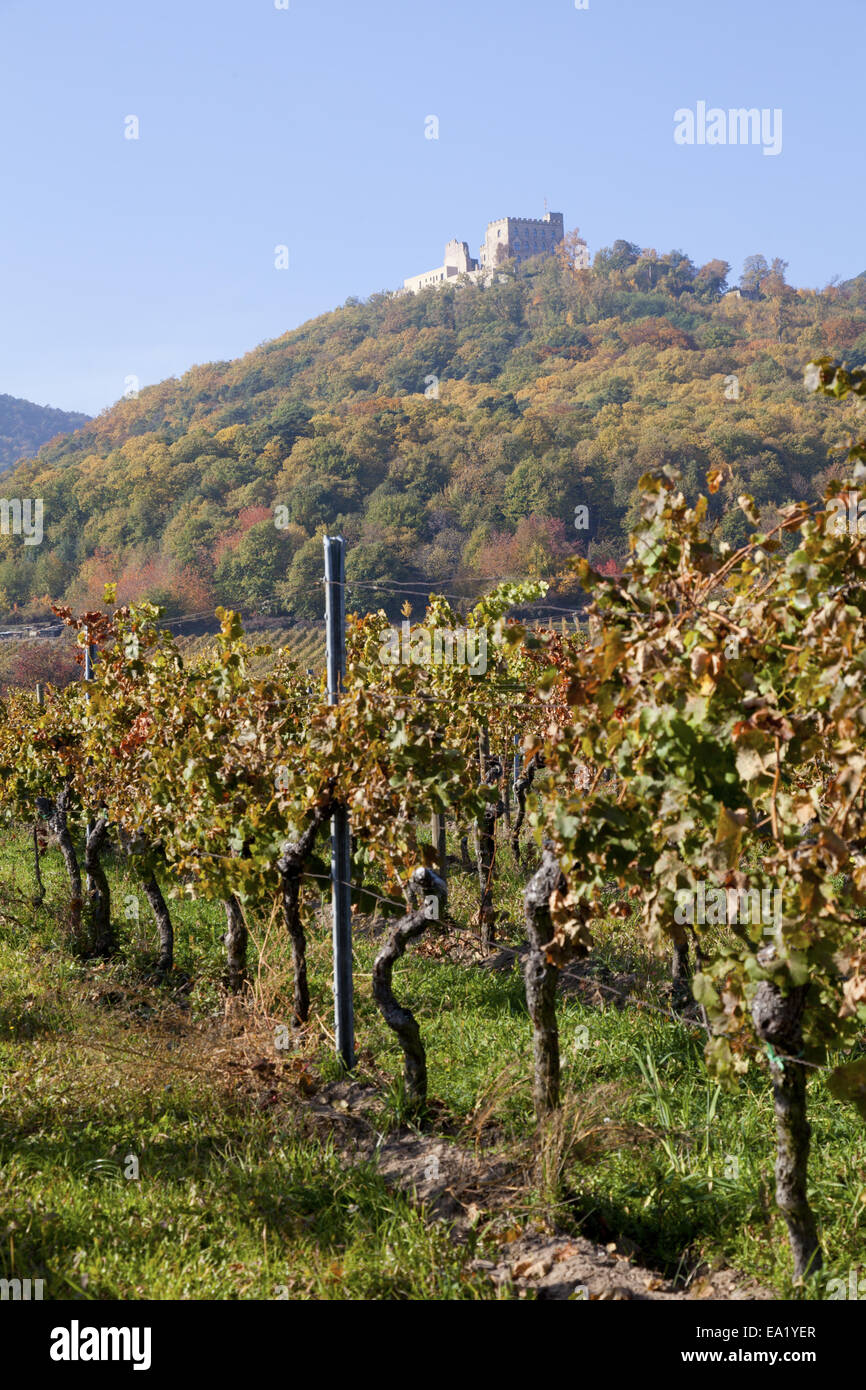 The Hambach Castle Stock Photo - Alamy