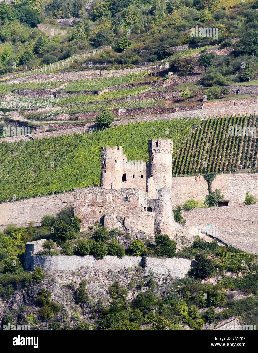 Berg castle hi-res stock photography and images - Alamy