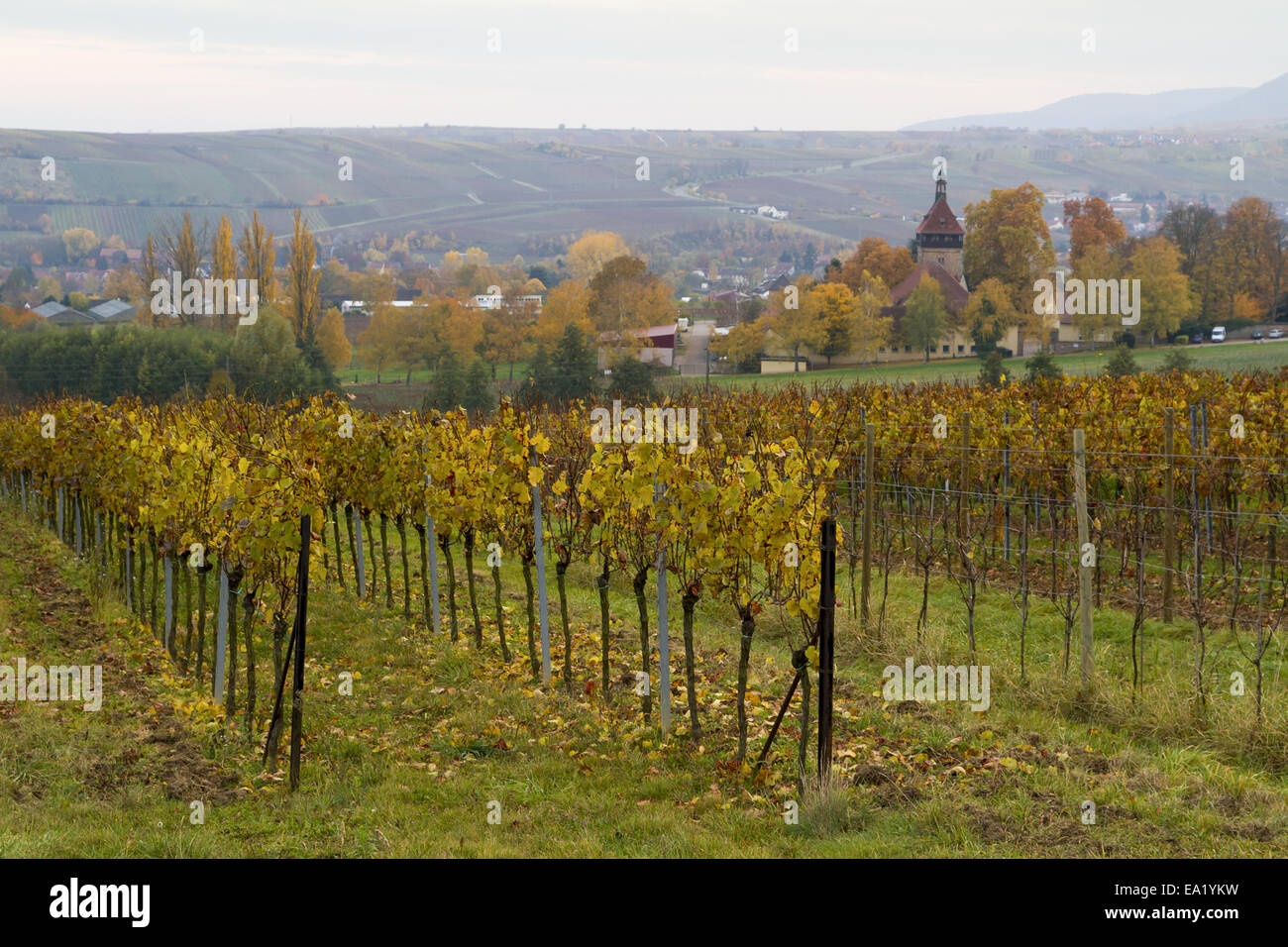 On the German Wine Road Stock Photo - Alamy