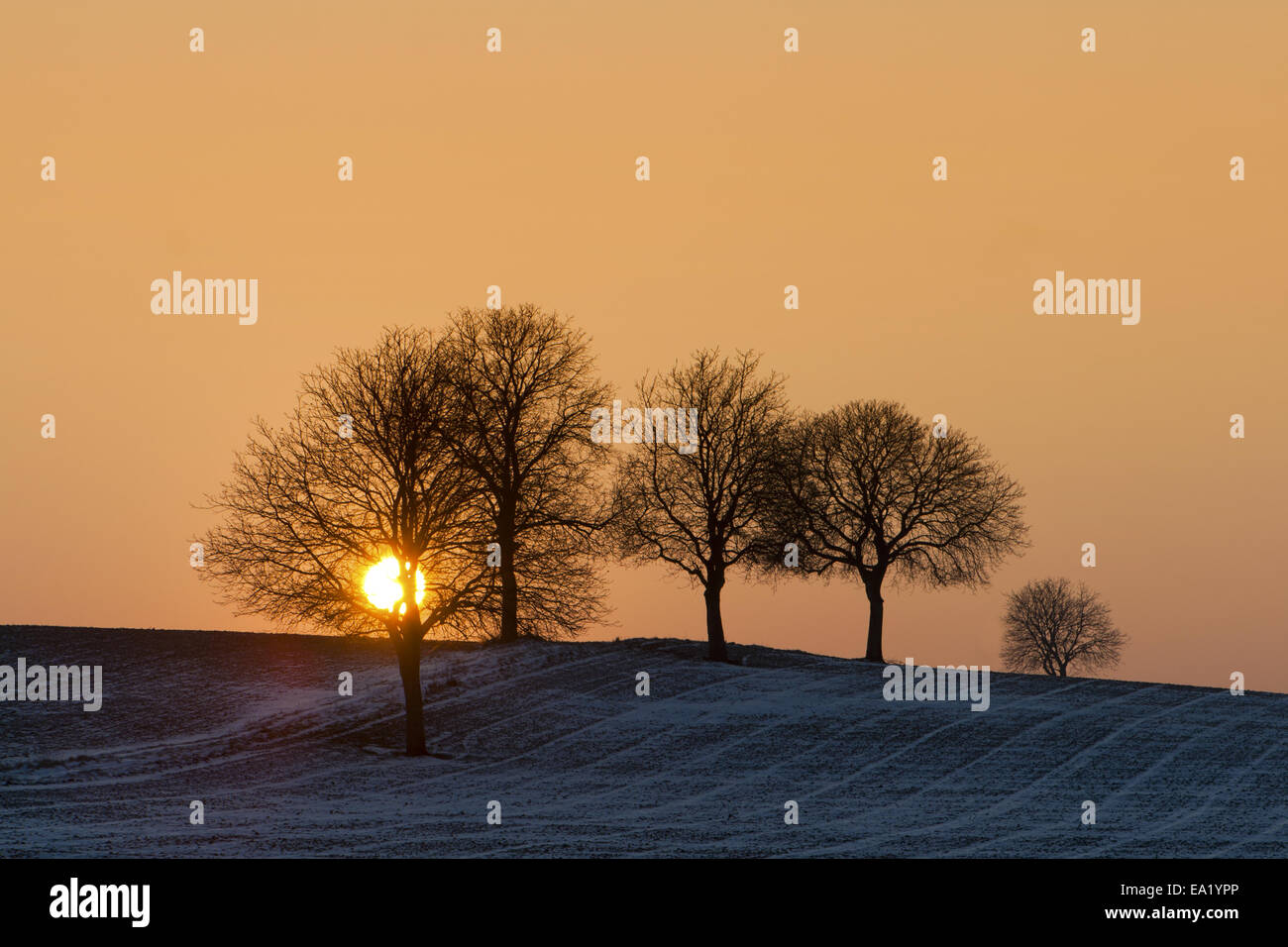 winter evening Stock Photo - Alamy