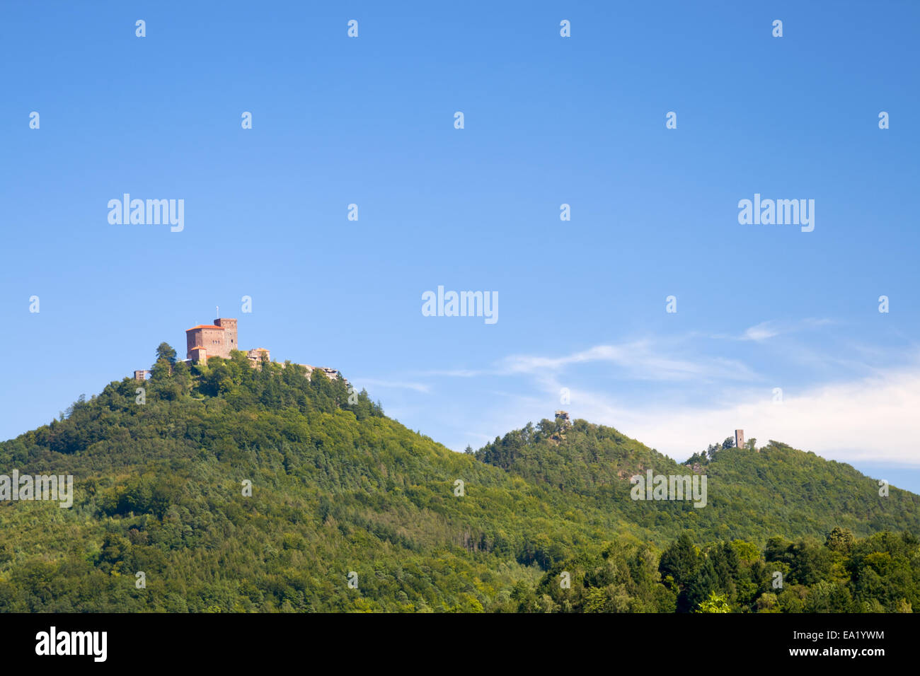 Burg trifels hi-res stock photography and images - Alamy