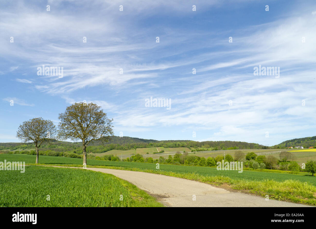 Landscape in spring Stock Photo - Alamy