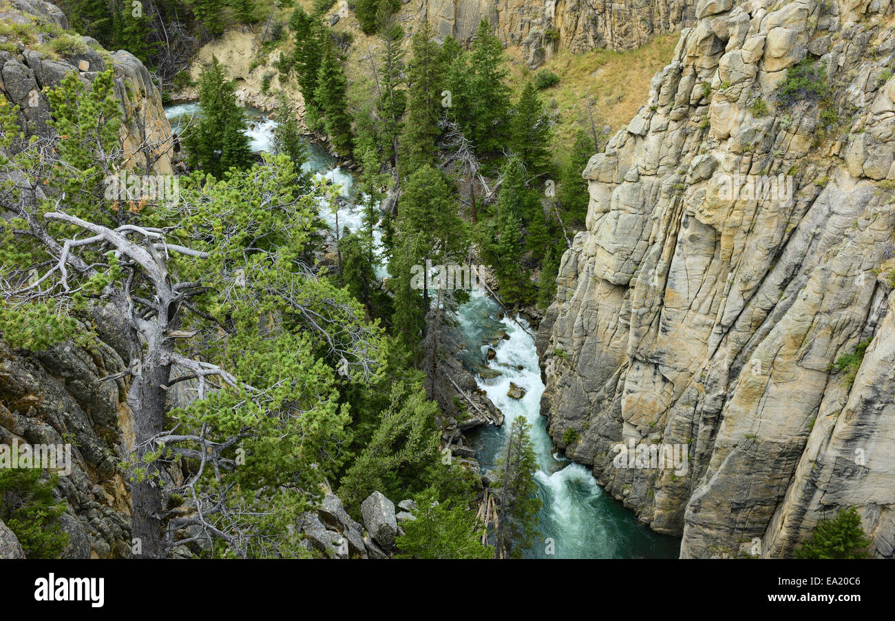 A river cuts through a deep canyon flanked by steep cliffs and ...