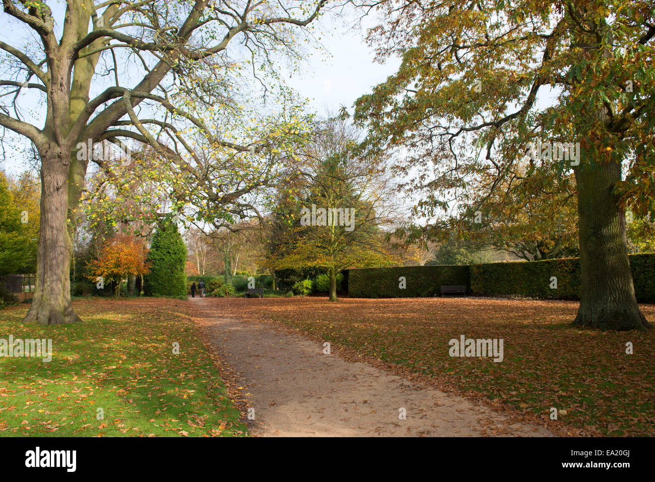 Autumn in the gardens at Rufford Abbey, Nottinghamshire England UK ...