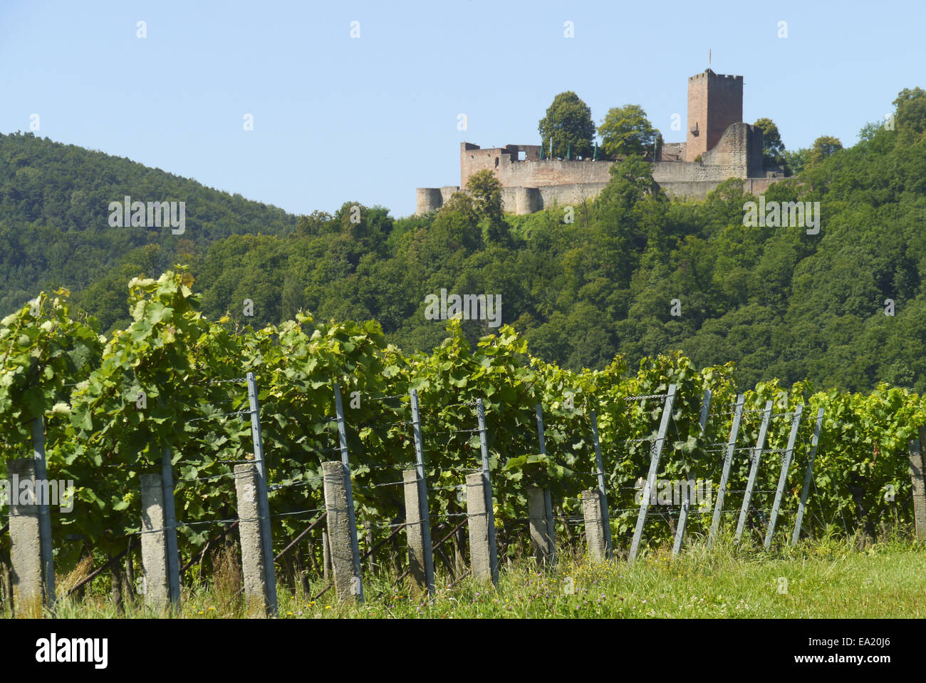 Landeck castle hi-res stock photography and images - Alamy